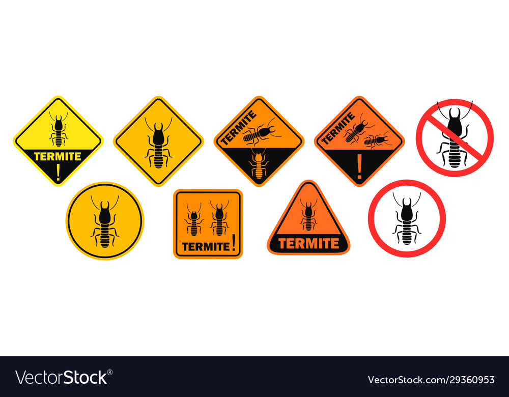 Termite Royalty Free Vector Image - VectorStock