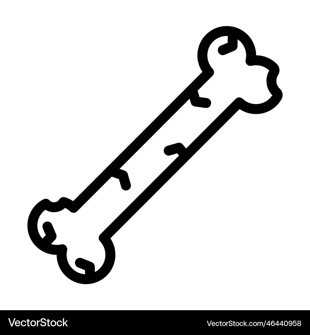 Bone thick line icon for personal and commercial Vector Image