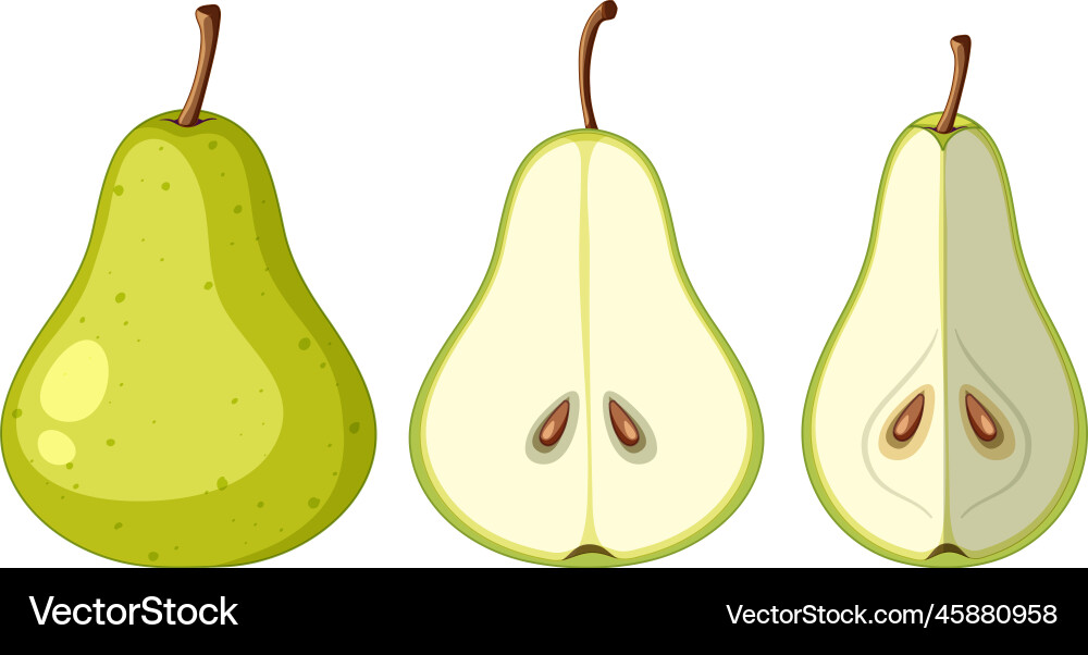 Set of green pear isolated Royalty Free Vector Image