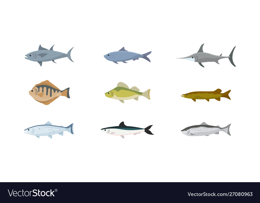 Fish flat set Royalty Free Vector Image - VectorStock