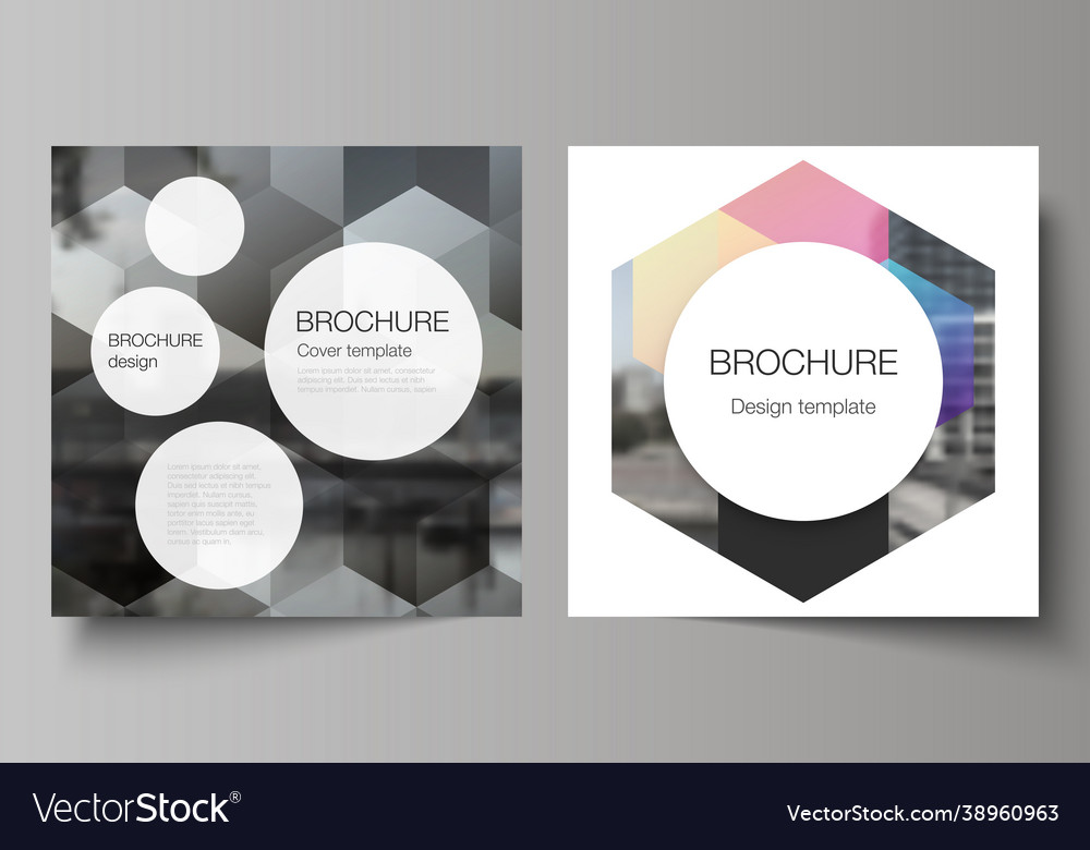 Layout two square format covers design Royalty Free Vector