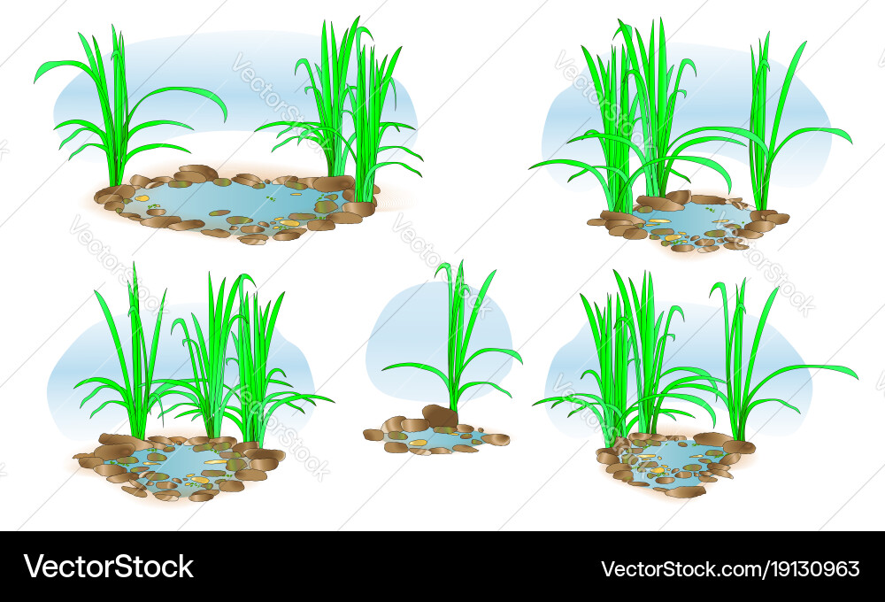 Little lake with grass for landscape design Vector Image