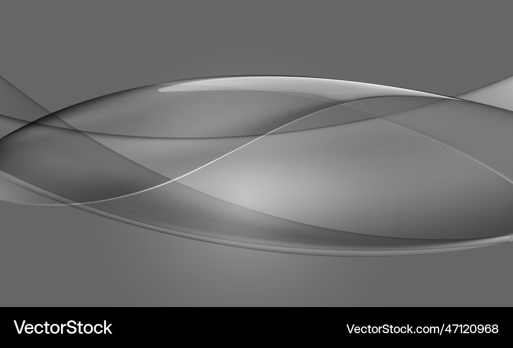 Abstract grey glass glossy curve wave design Vector Image