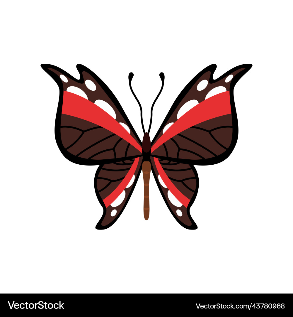 Exotic color butterfly hand drawn moth wings Vector Image