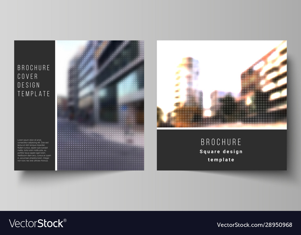 Layout two square covers design Royalty Free Vector Image