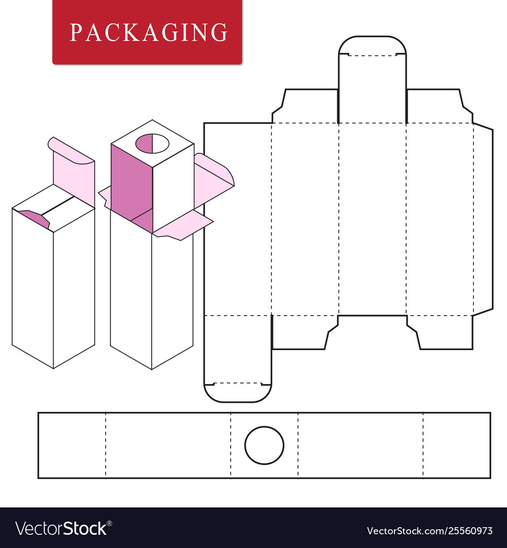 Packaging design boxpackage Royalty Free Vector Image
