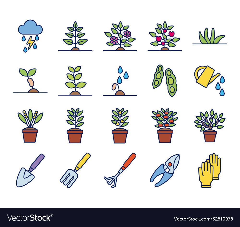 Bundle plant growth line and fill style Royalty Free Vector