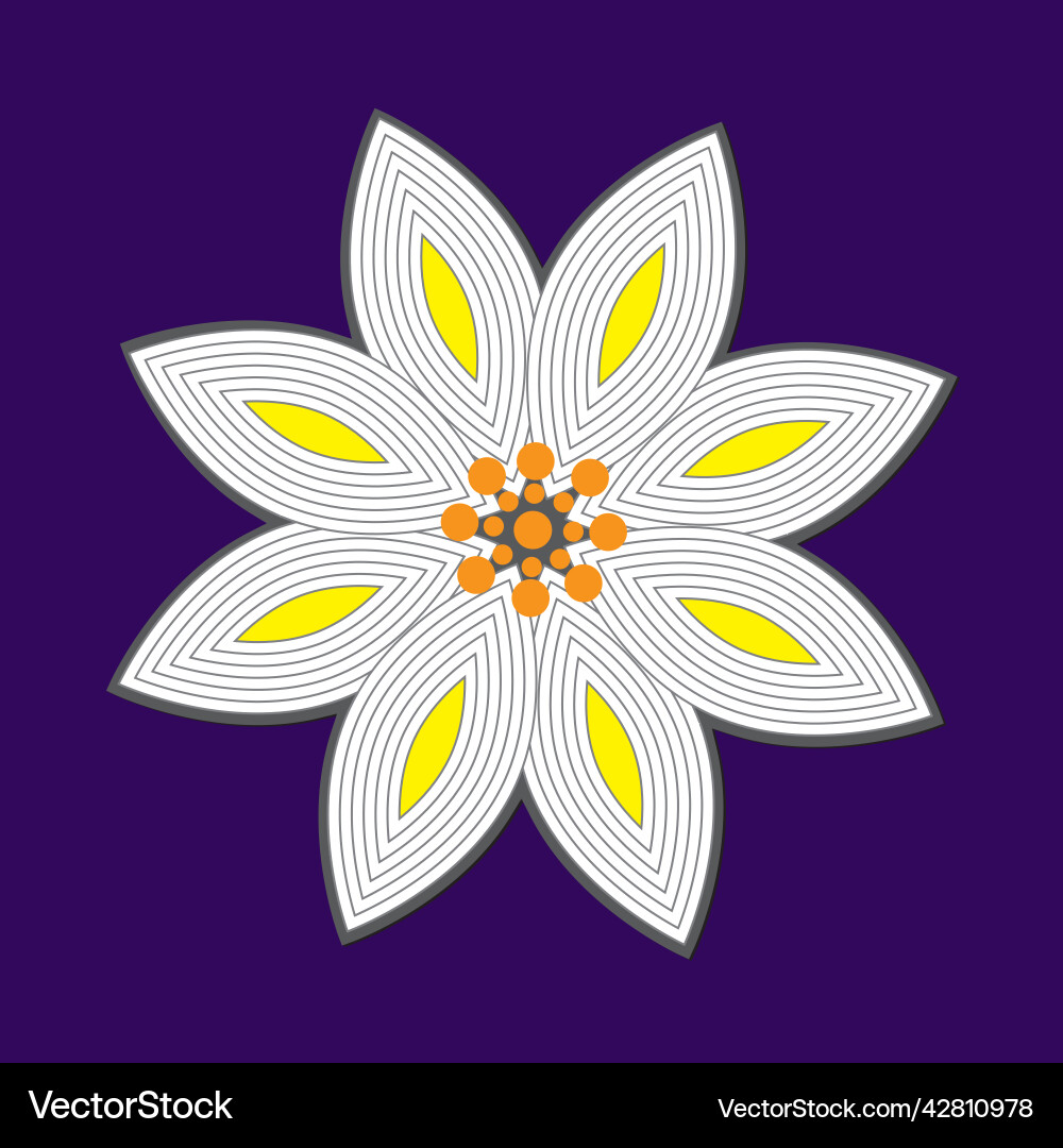 Flower petals overlapping lines on a purple backgr