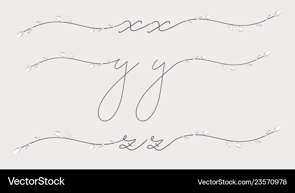 Hand lettering floral lowercase monograms and Vector Image