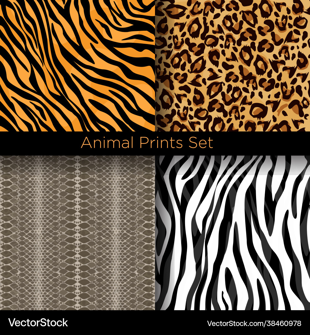 Set animal skin seamless Royalty Free Vector Image