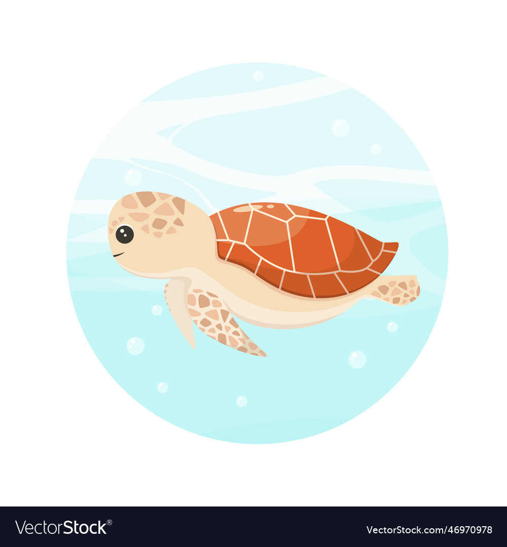 Turtle Royalty Free Vector Image - VectorStock