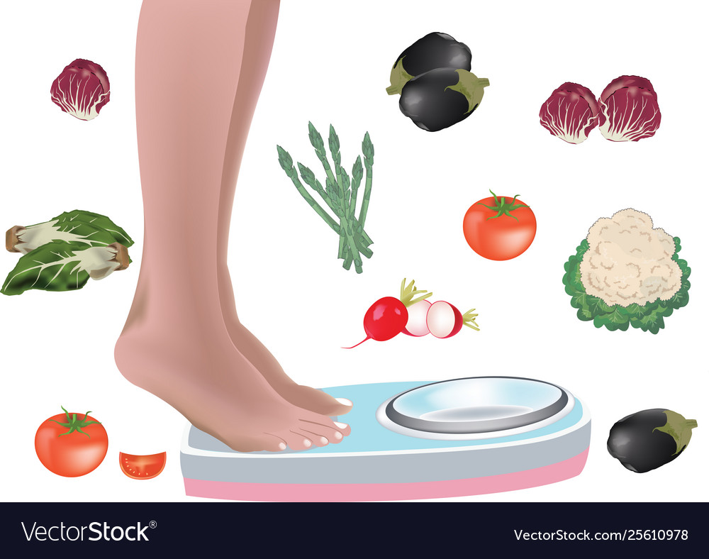 Vegetable based diet Royalty Free Vector Image