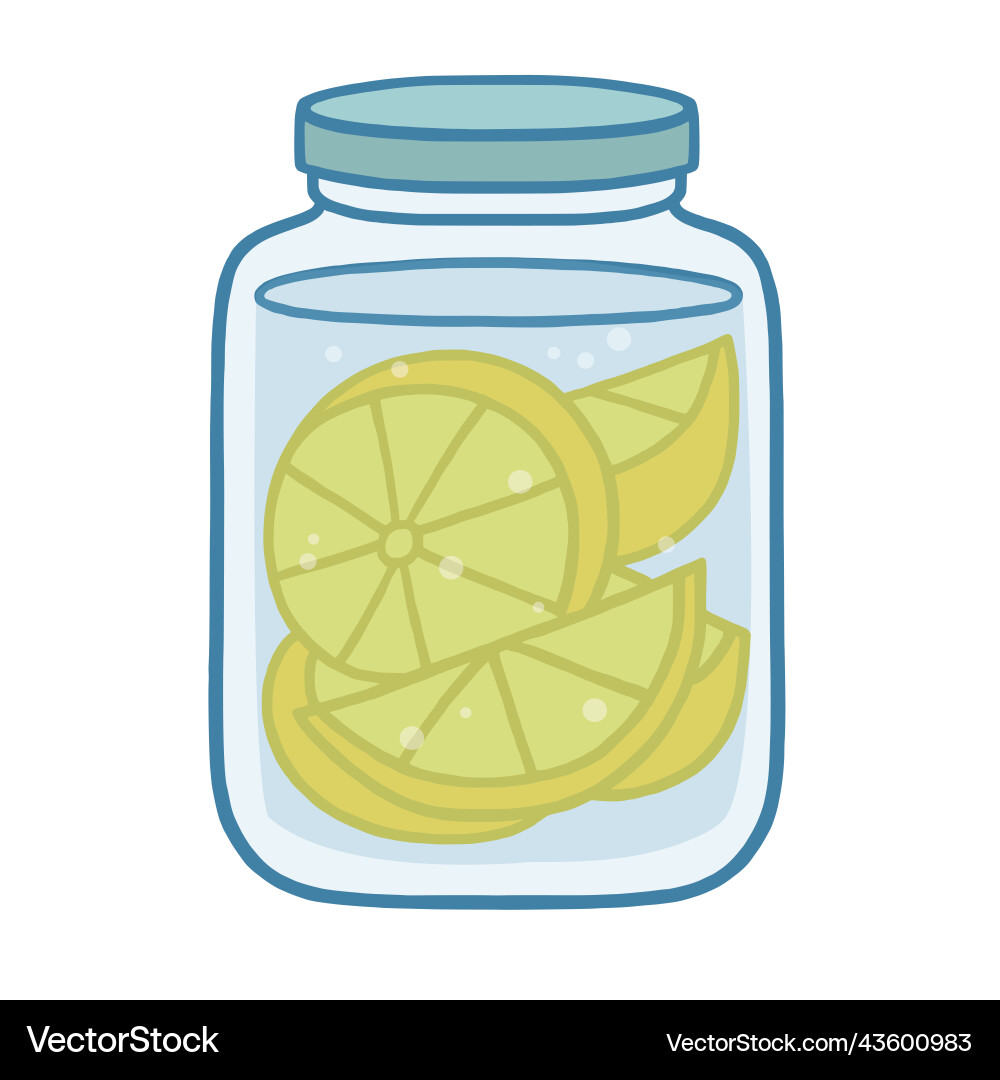 Infused water lemon slices doodle drawing Vector Image
