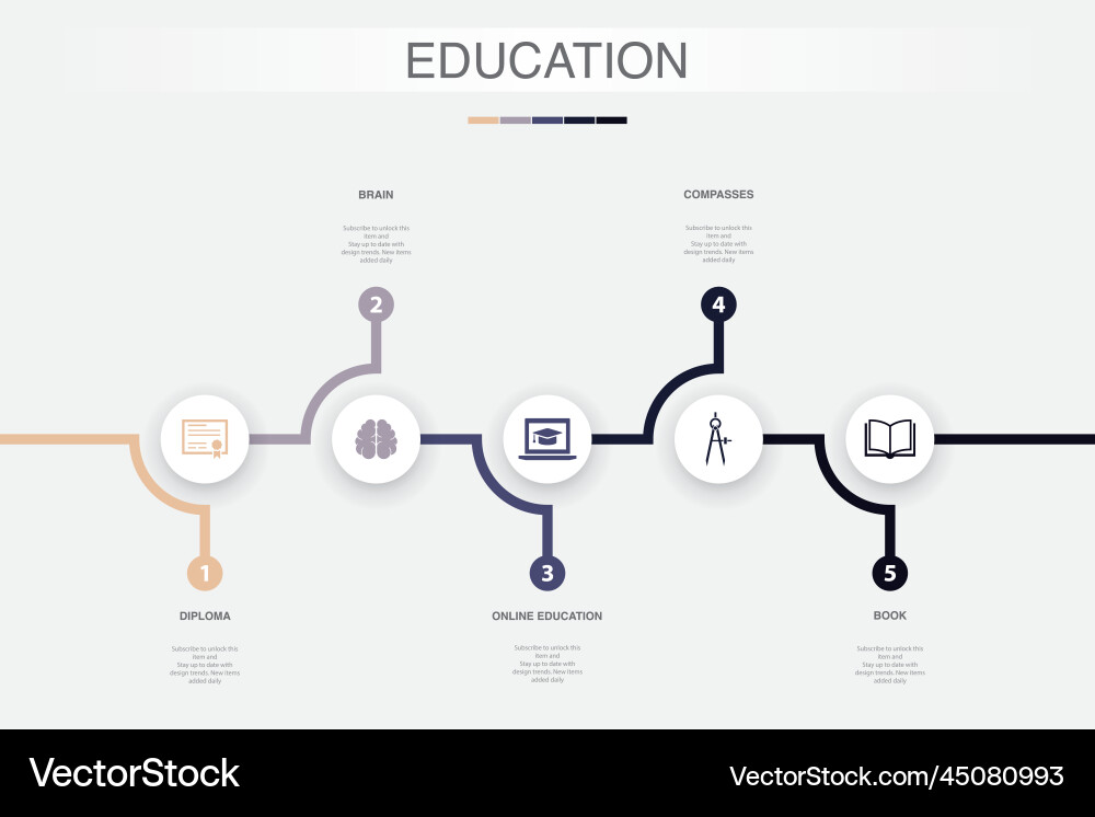 Diploma brain online education compasses book Vector Image
