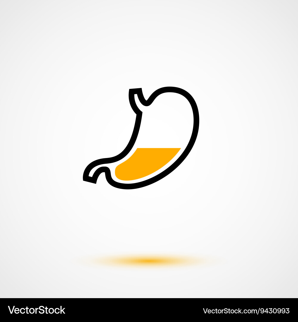 Flat stomach with fluid acid contents Royalty Free Vector