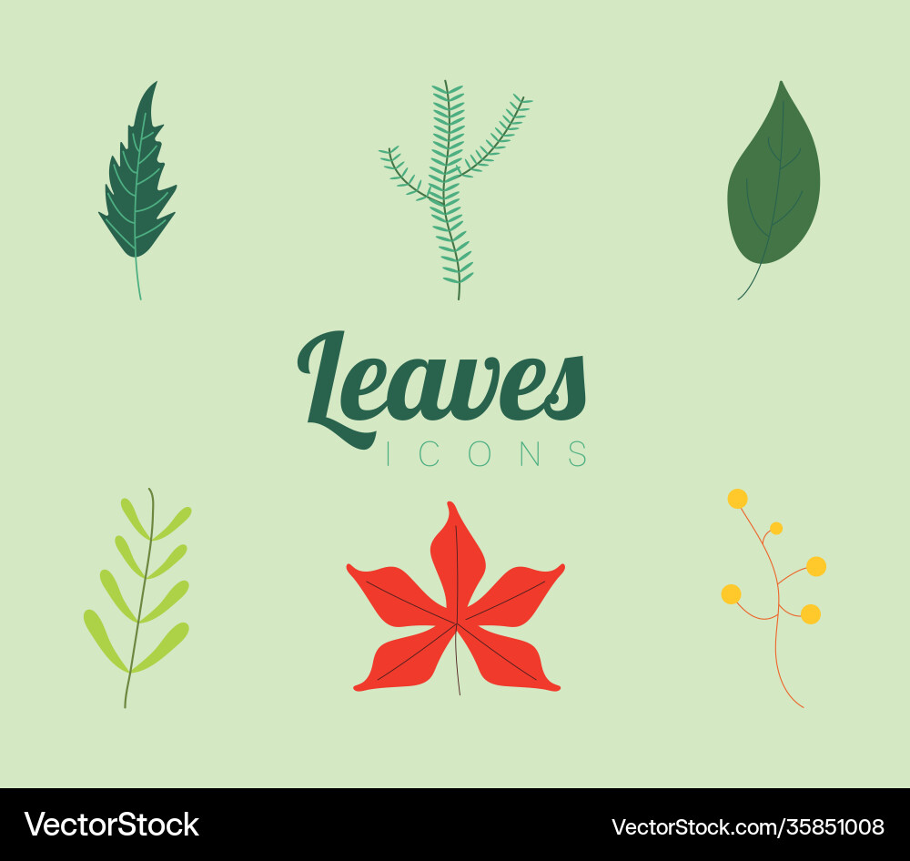 Bundle six colors leaves nature icons Royalty Free Vector
