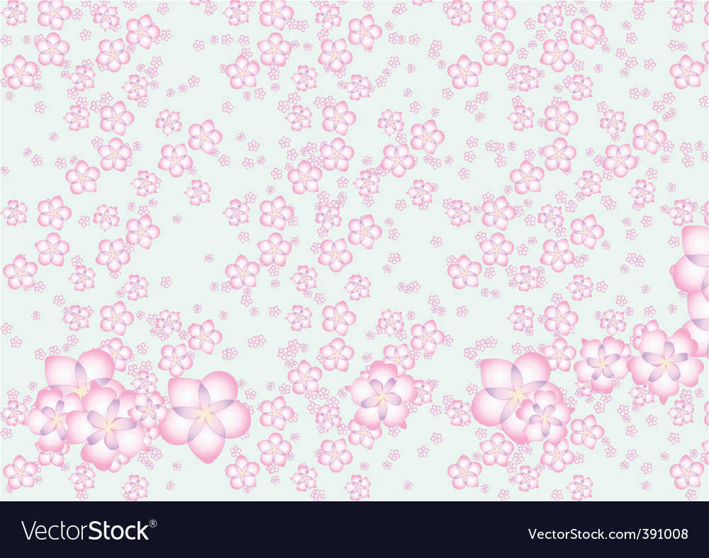 Sakura flowers pattern Royalty Free Vector Image