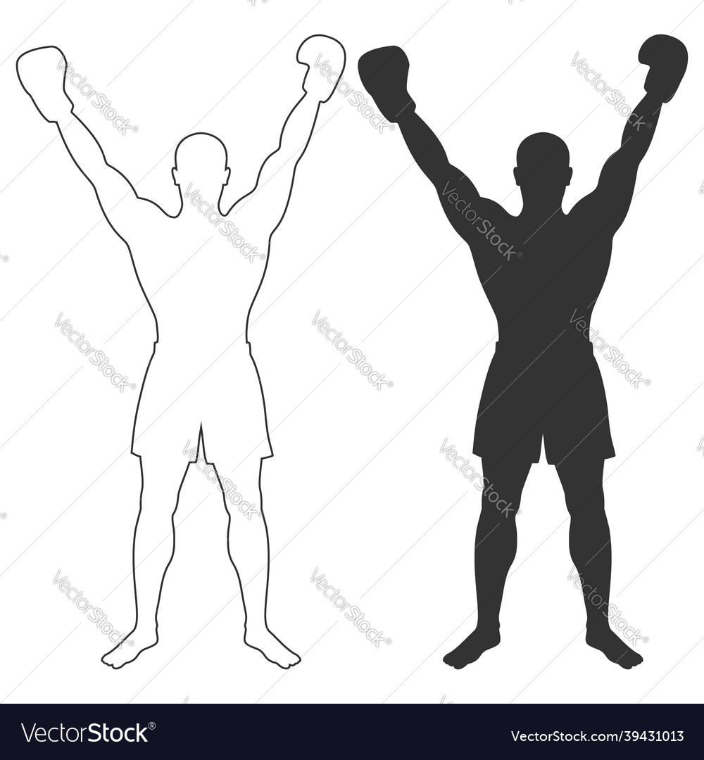 Fighter Royalty Free Vector Image - VectorStock