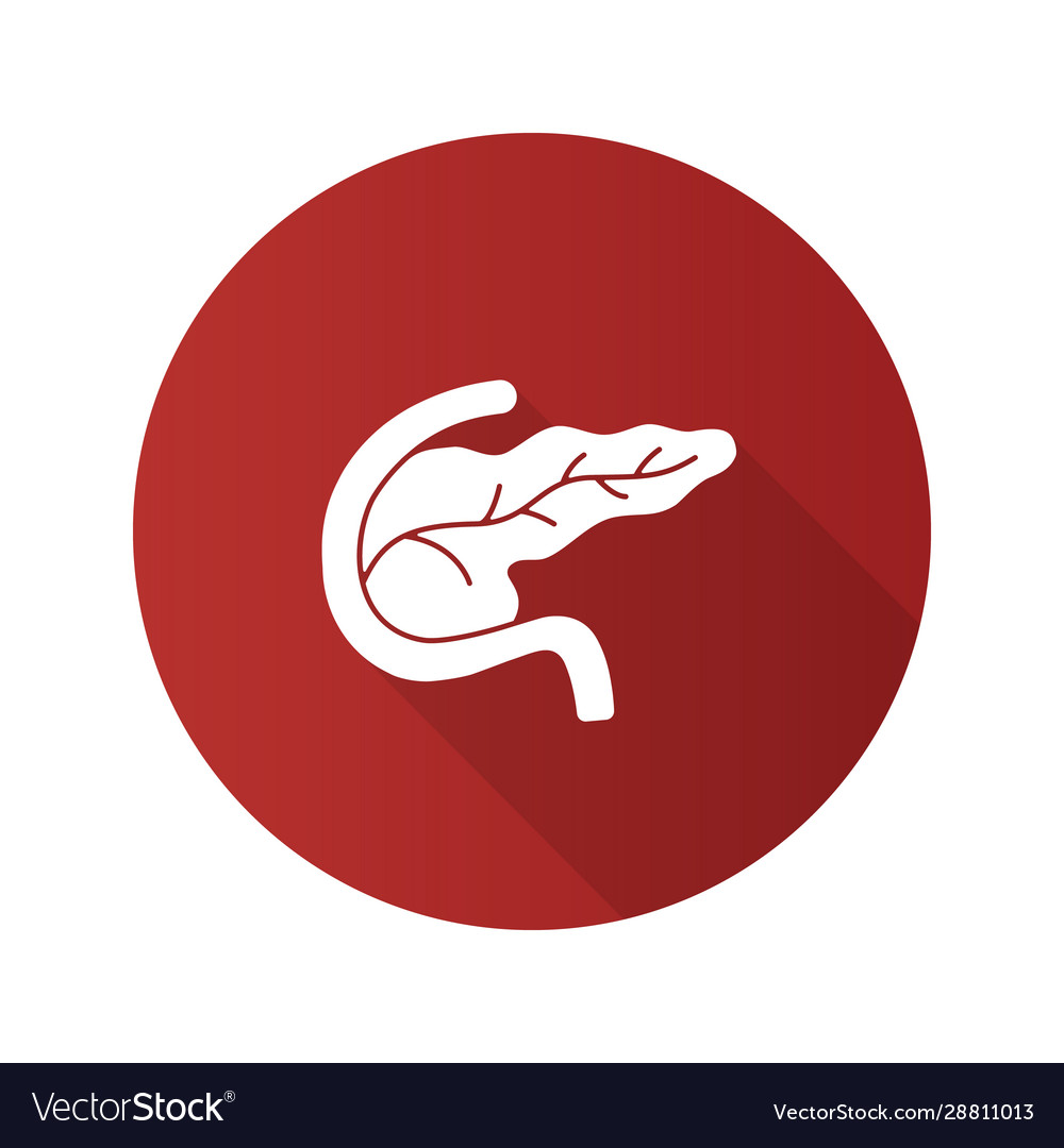 Flat design long shadow glyph icon Royalty Free Vector Image