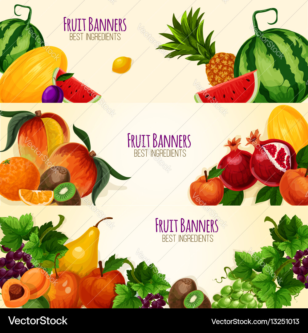 Fruits exotic and garden banners set Royalty Free Vector