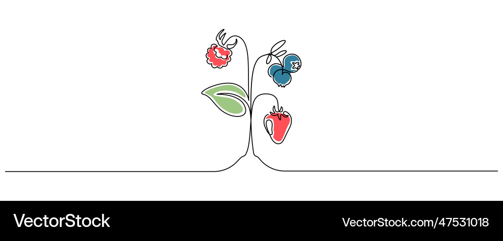 Berries on plant in one continuous line drawing Vector Image