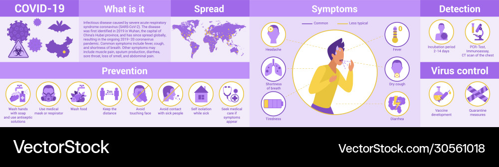 Horizontal frames with coronavirus covid19 19 Vector Image
