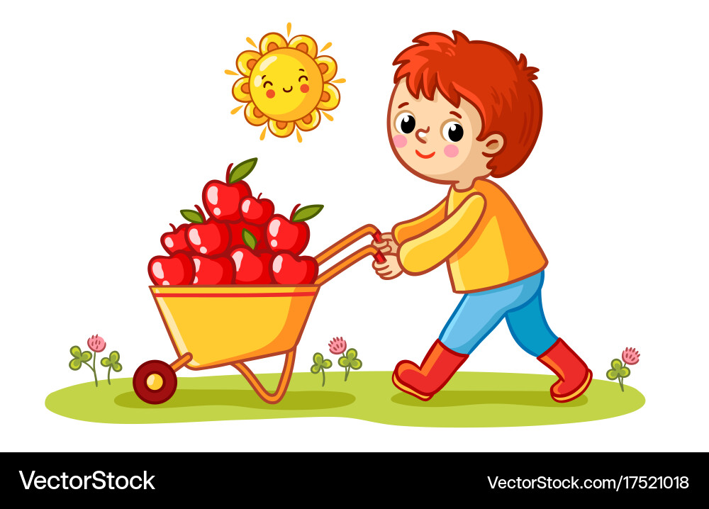 The boy rolls a wheelbarrow with apples Royalty Free Vector