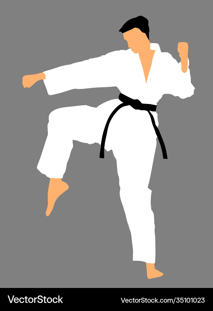 Karate man fighter in kimono Royalty Free Vector Image