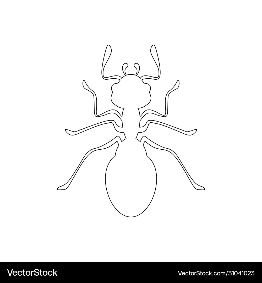 Outline an insect top view black lines Royalty Free Vector