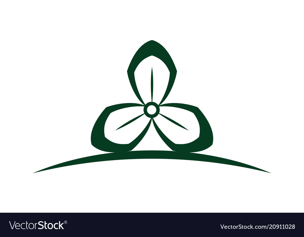 Leaf flower simple Royalty Free Vector Image - VectorStock