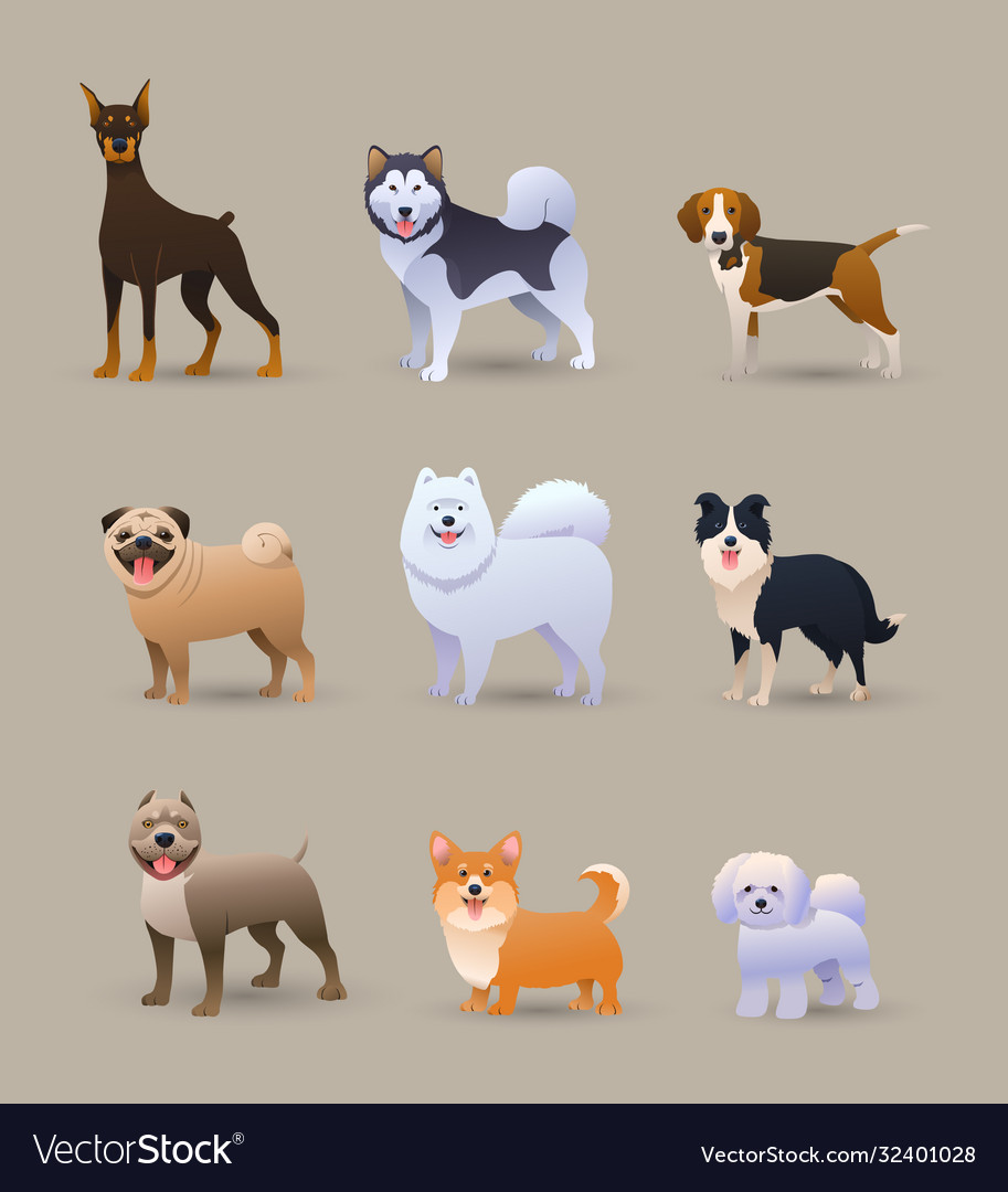 Set nine different dog breeds Royalty Free Vector Image Set nine different dog breeds Royalty Free Vector Image