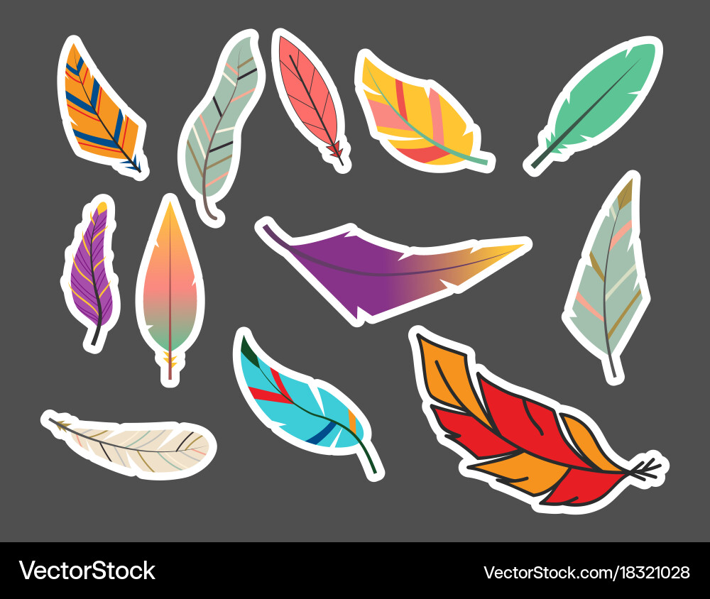 Tribal flat feather different style bird vintage Vector Image