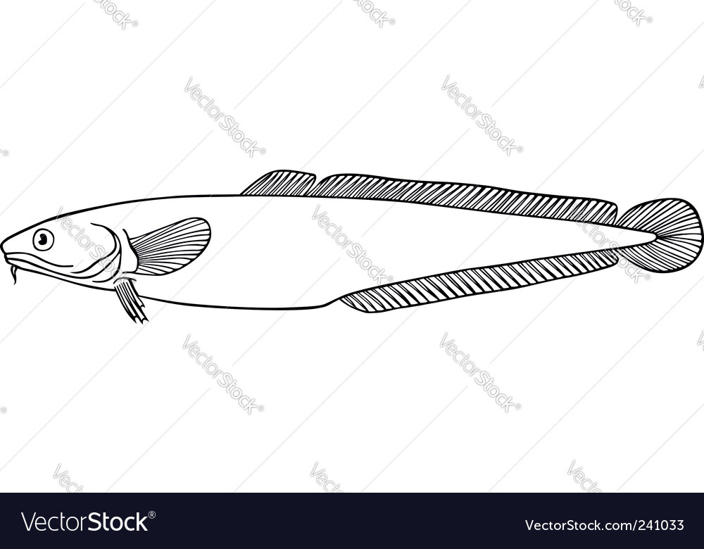 Fish Royalty Free Vector Image - VectorStock