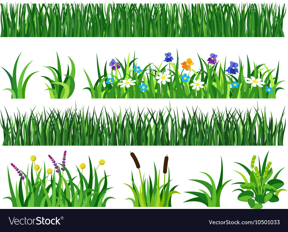 Grass Royalty Free Vector Image Vectorstock