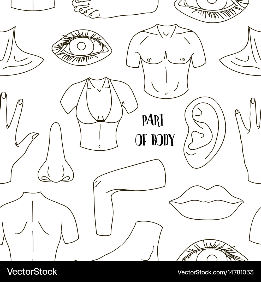 Part of body set icons pattern Royalty Free Vector Image