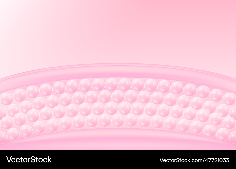 Skin cell structure layer pink Royalty Free Vector Image