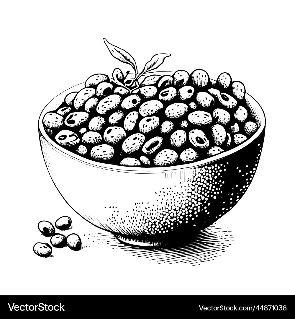 Hand drawn soybeans in a bowl Royalty Free Vector Image