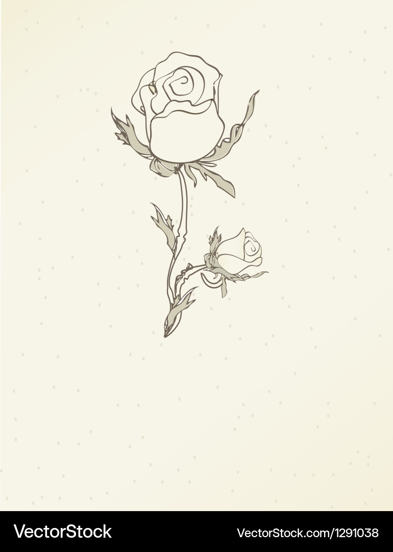 Retro card with vintage rose Royalty Free Vector Image