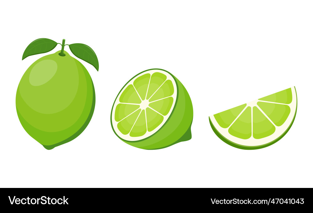 Fresh lime fruit collection of icons Royalty Free Vector
