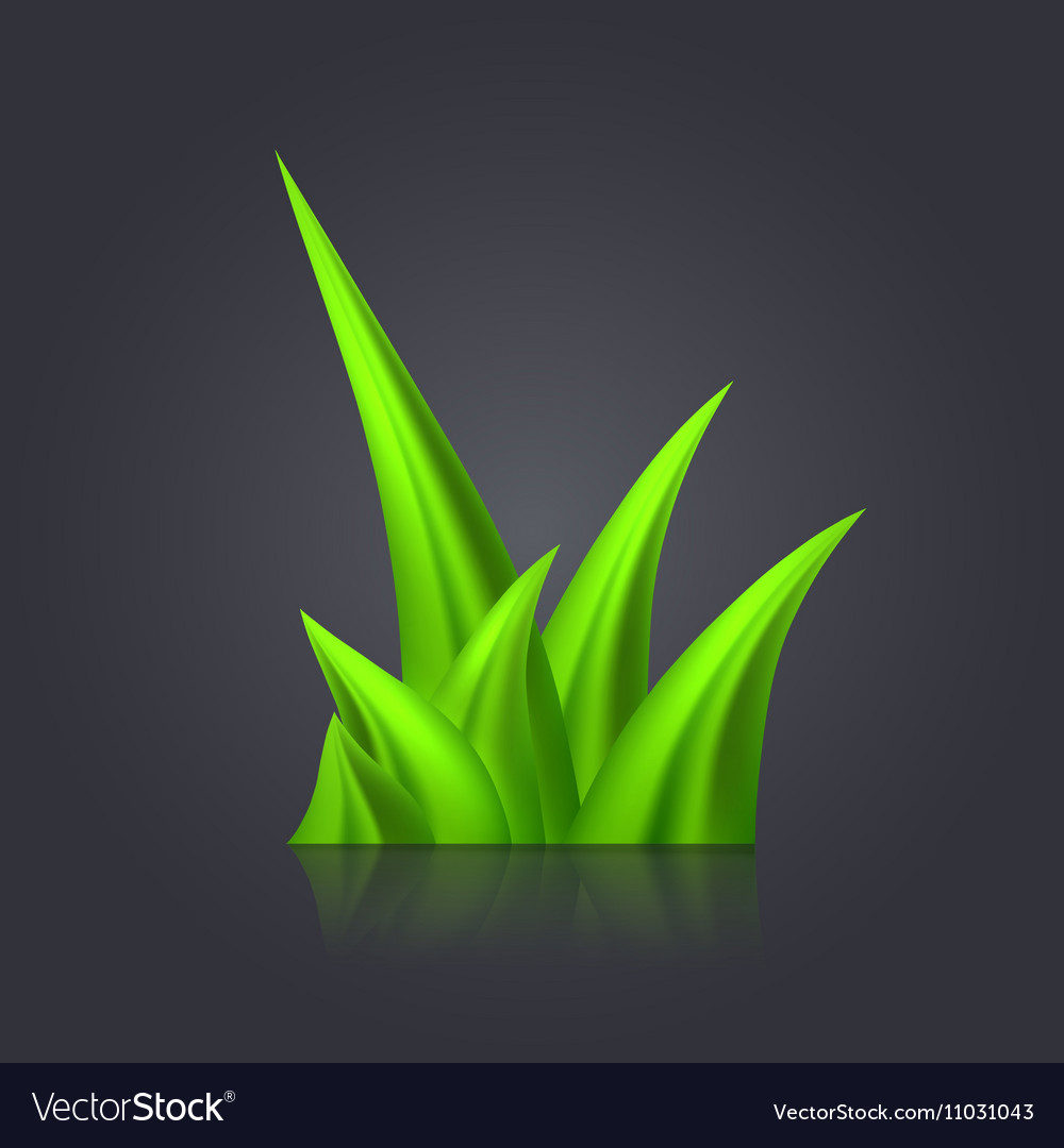 Grass Royalty Free Vector Image - VectorStock