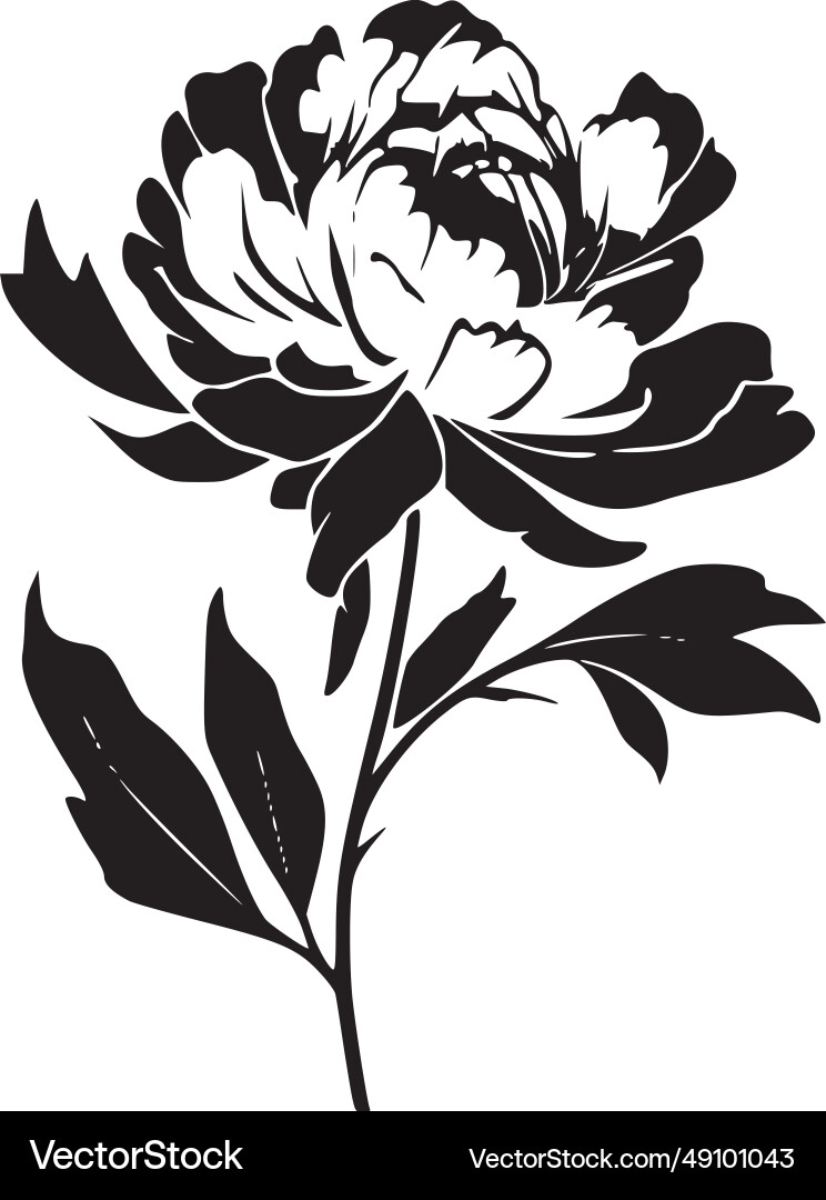 Peony - minimalist and simple silhouette Vector Image