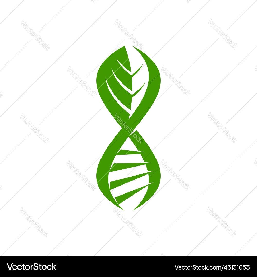 Leaf dna icon plant genome science lab symbol Vector Image