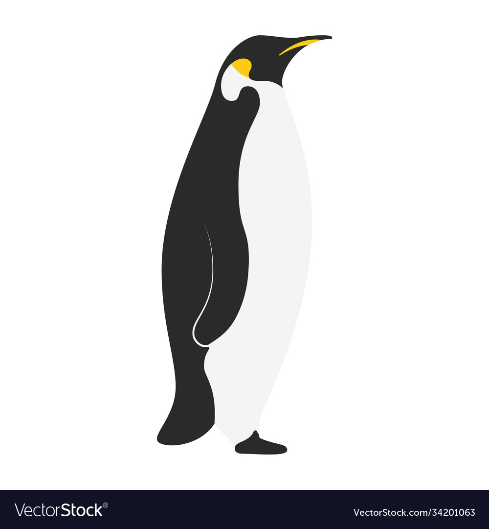 Little cute penguin bird character Royalty Free Vector Image