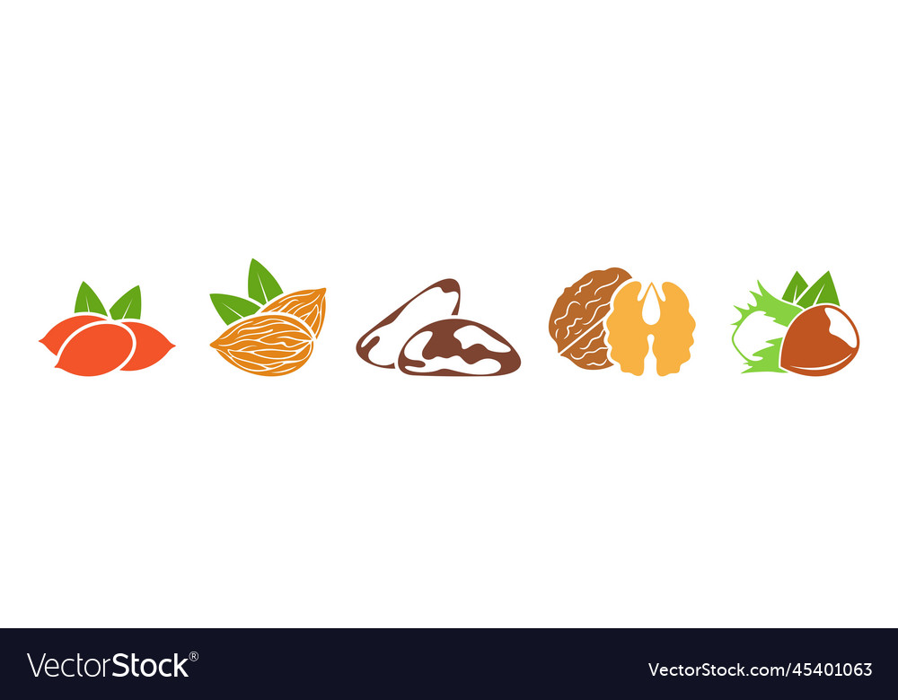 Nut Royalty Free Vector Image - VectorStock