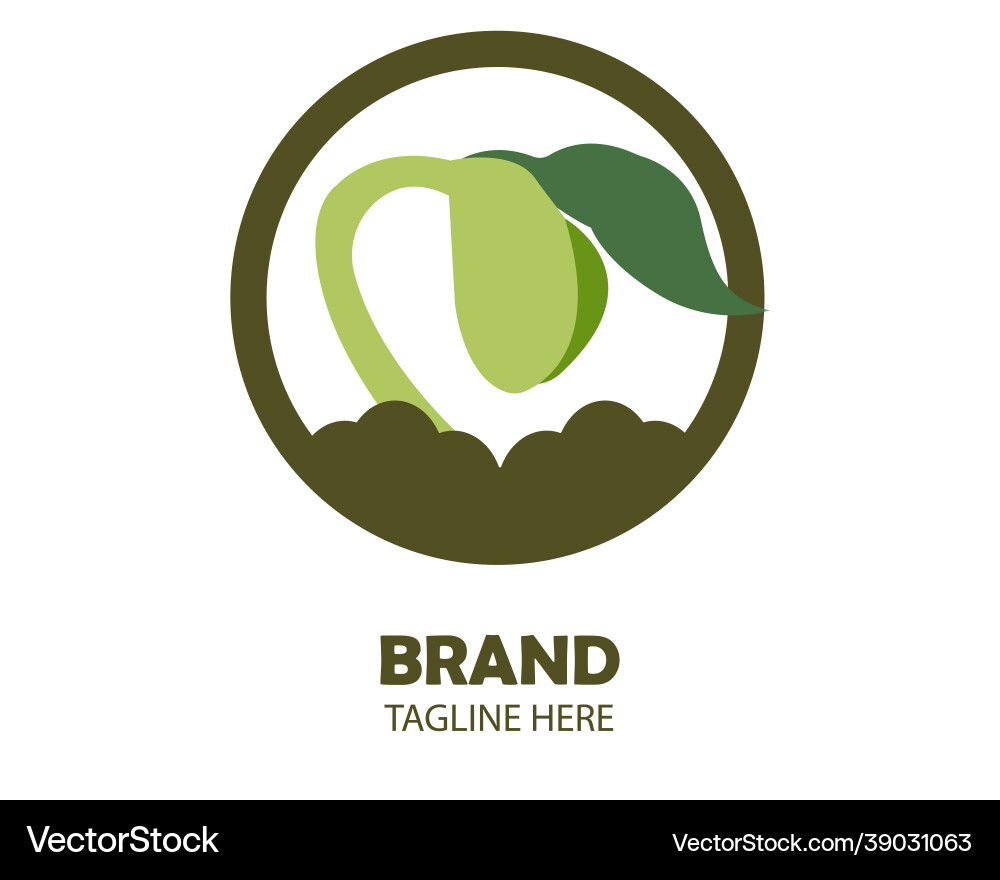 Plant seed growing above ground logo icon Vector Image