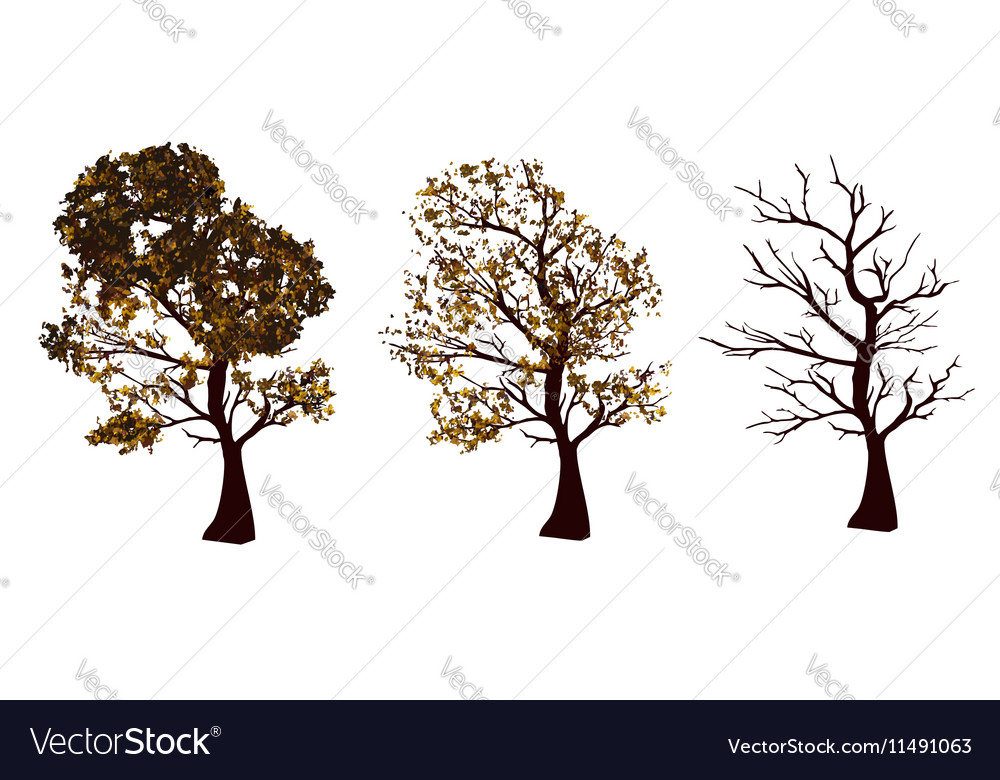 Set of autumn trees Royalty Free Vector Image - VectorStock