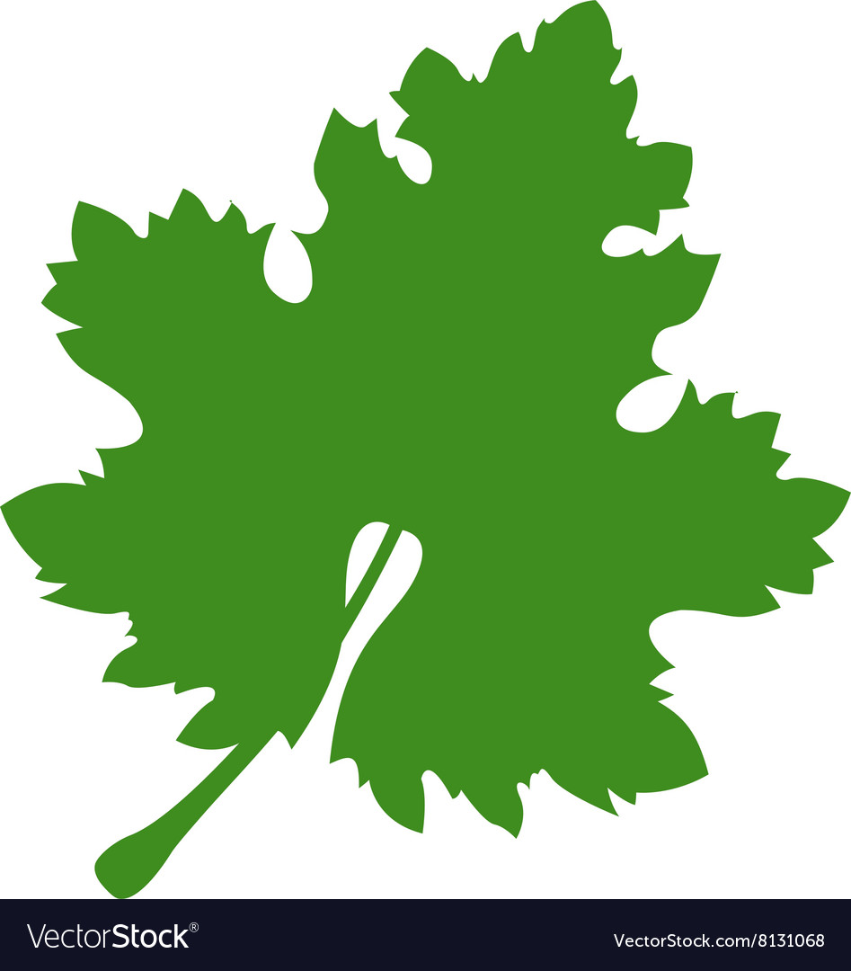 Grape-leaf Royalty Free Vector Image - VectorStock