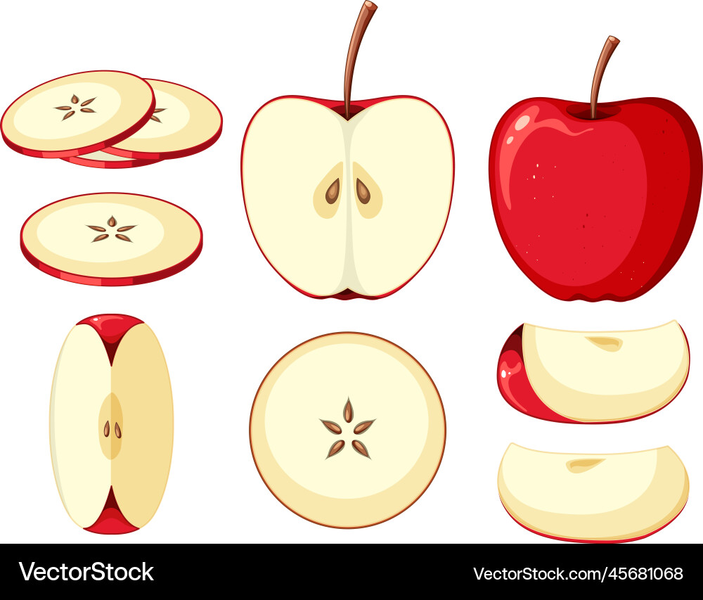 Red apple in whole and sliced pieces Royalty Free Vector