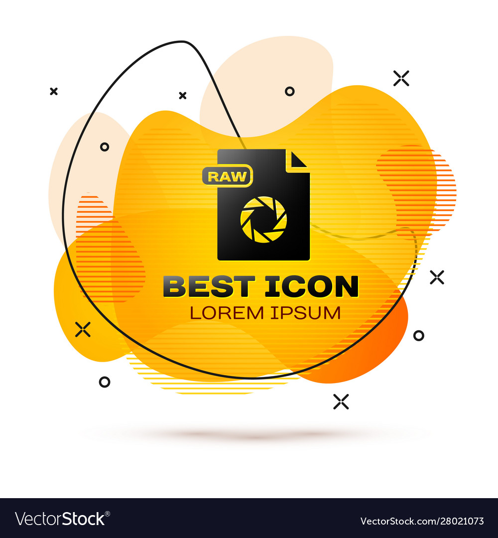 Black raw file document download raw button icon Vector Image