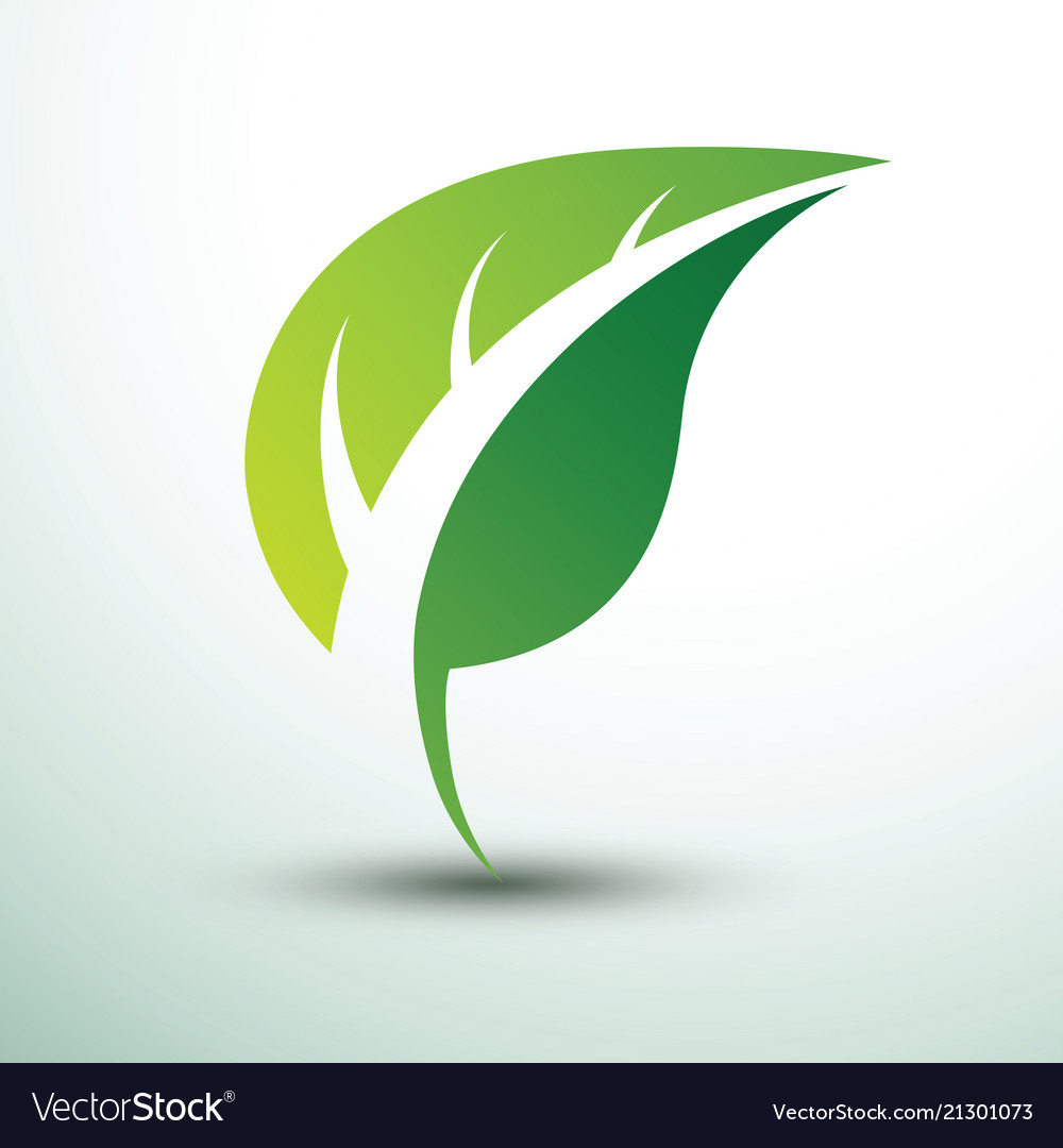 Leaf logo Royalty Free Vector Image - VectorStock